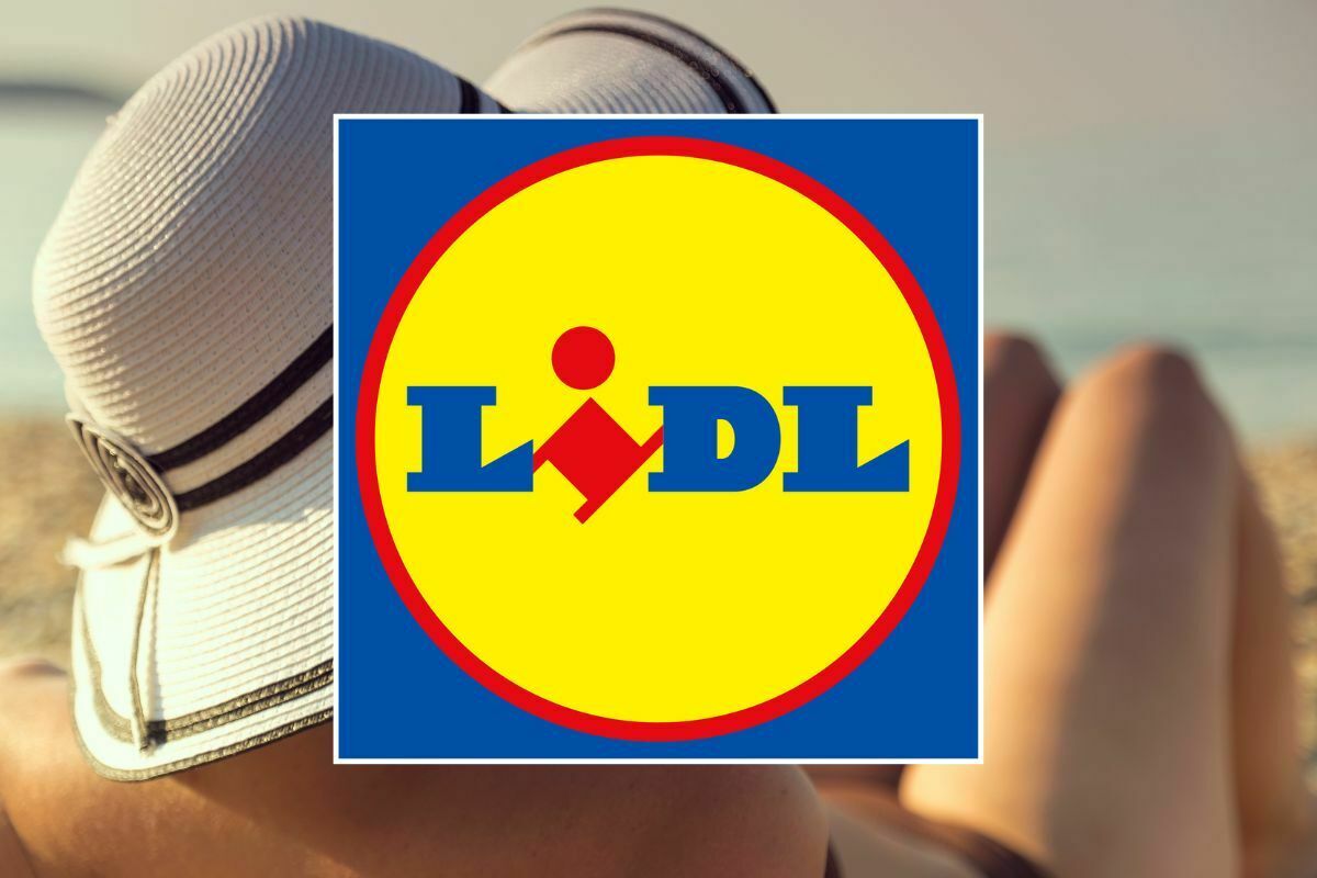 Transat Lidl 2023