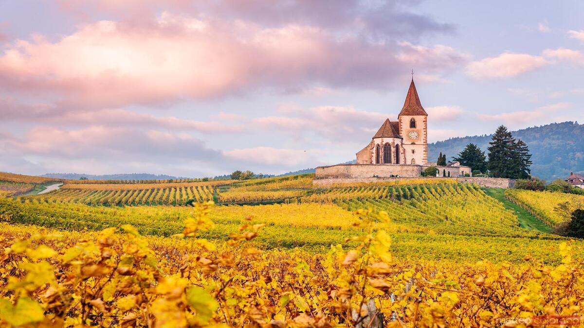 L'Alsace viticole : ce village est un des plus beaux de France ...